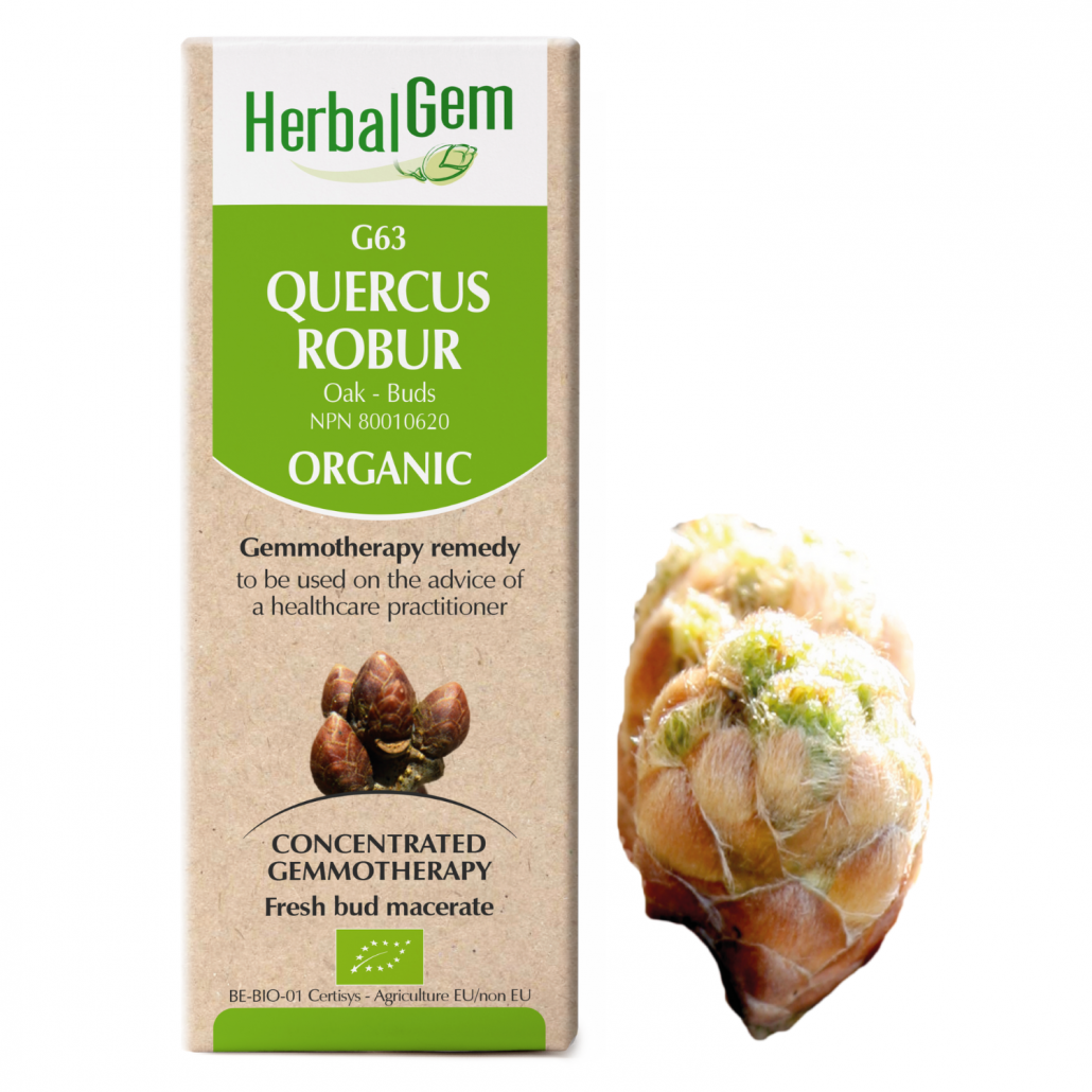 Herbal Gem Quercus robur / pedunculata | G63 50mL Herbal Gem Quercus robur / pedunculata | G63 50mL